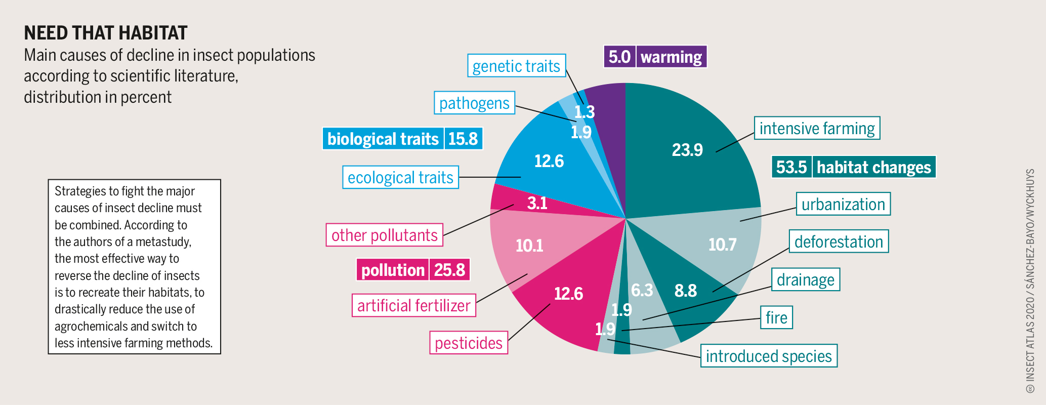 Global insect deaths: A crisis without numbers | Heinrich Böll Stiftung