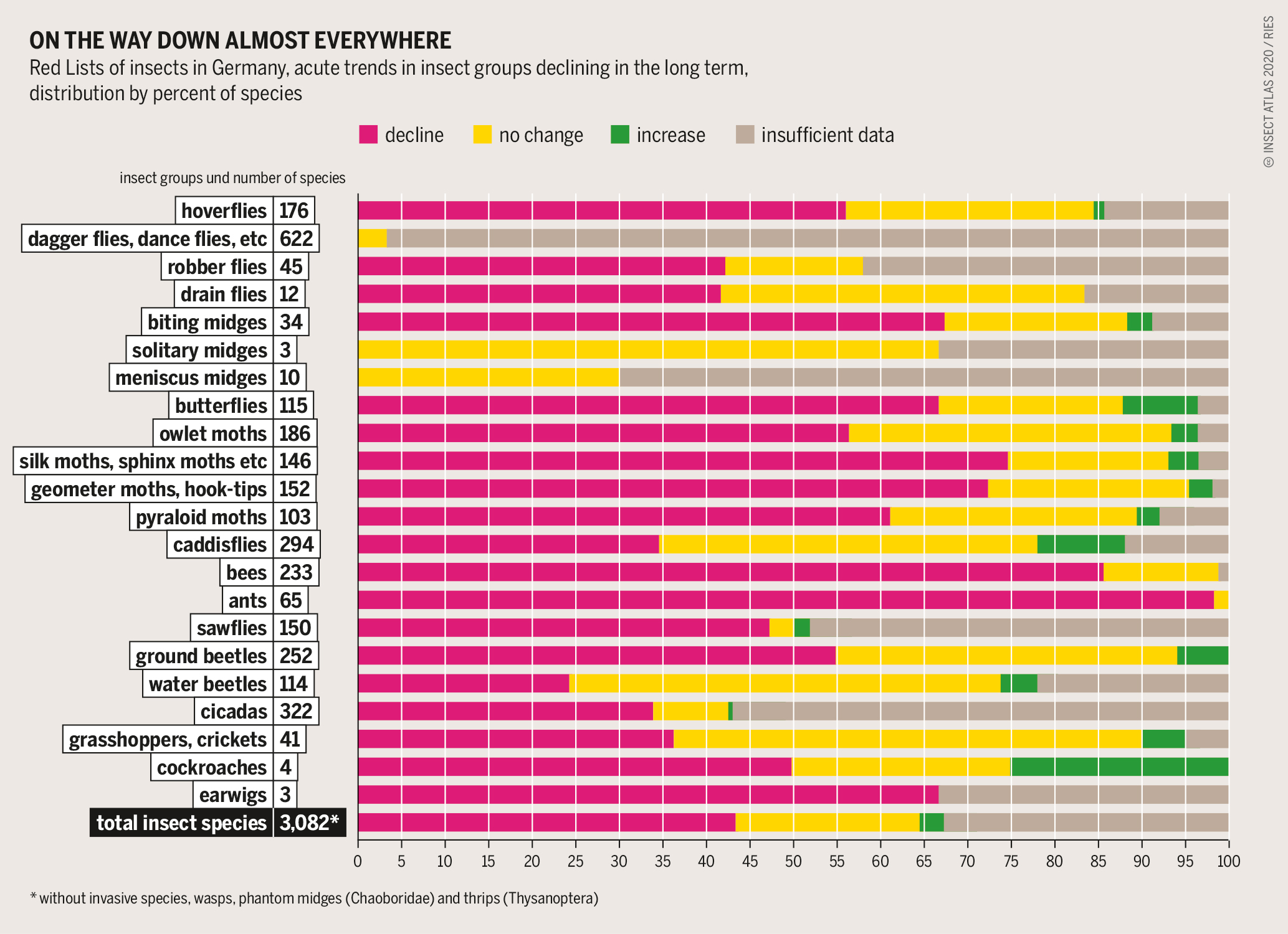 Insektensterben in Deutschland