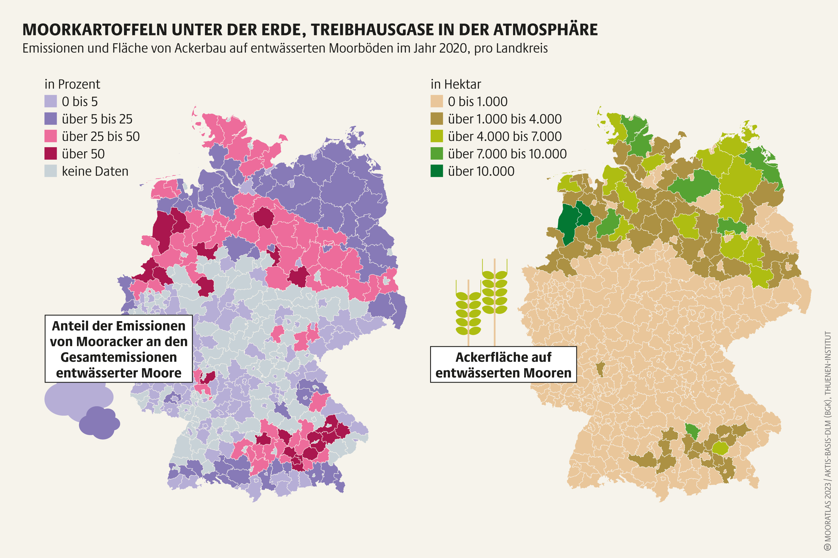 Mooratlas 2023: Daten & Fakten zu nassen Klimaschützern