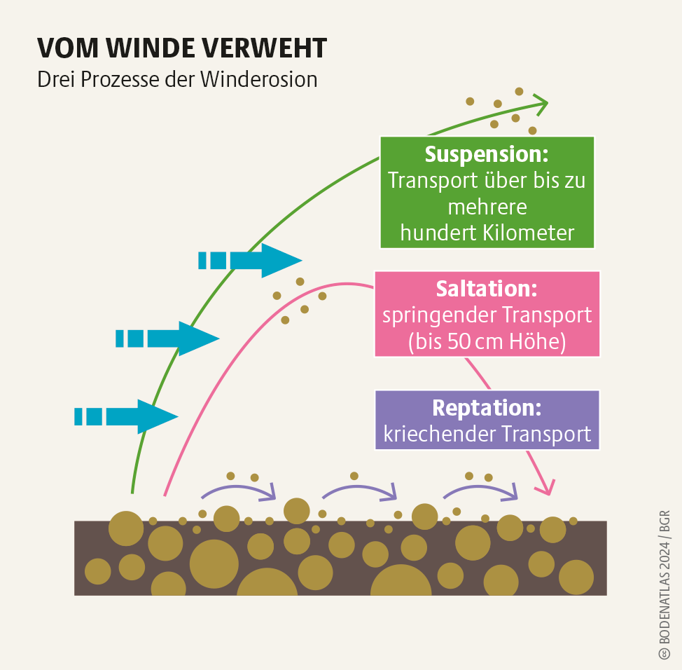 Bodendegradation: Wir brauchen mehr Bodenschutz