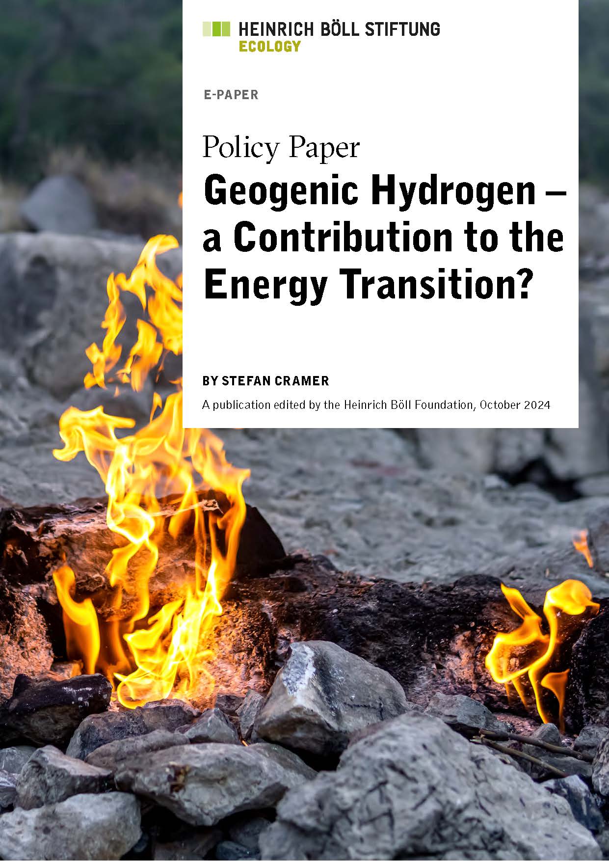 Policy Paper: Geogenic Hydrogen – a Contribution to the Energy ...