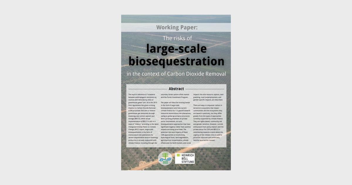 The risks of large-scale biosequestration in the context of Carbon ...