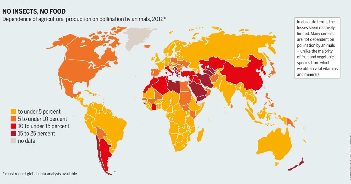 A world without insects: Technology won't save us | Heinrich Böll Stiftung