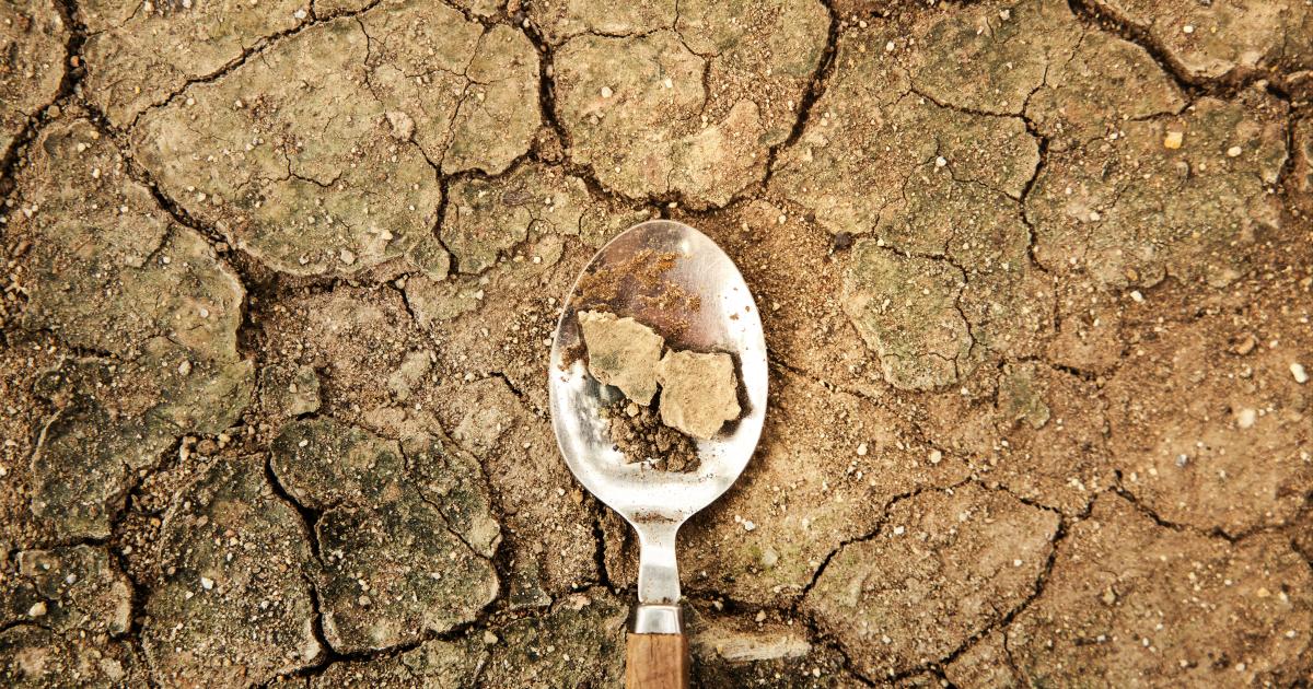 Der Weg aus der globalen Hungerkrise | Heinrich-Böll-Stiftung