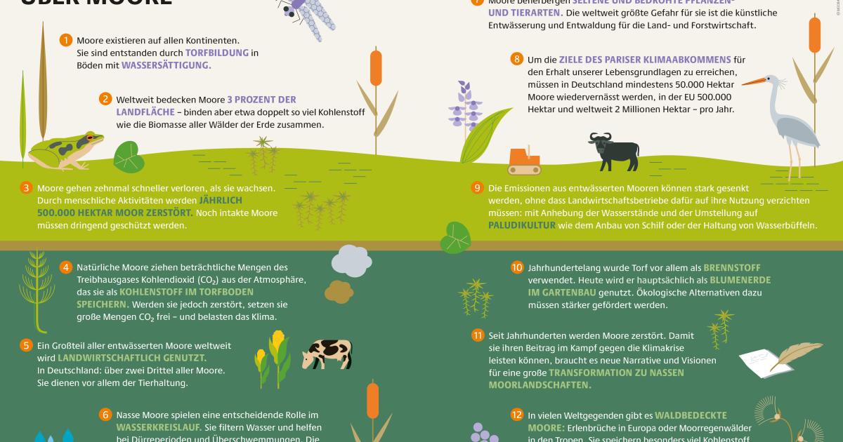 12 kurze Lektionen über Moore | Heinrich-Böll-Stiftung