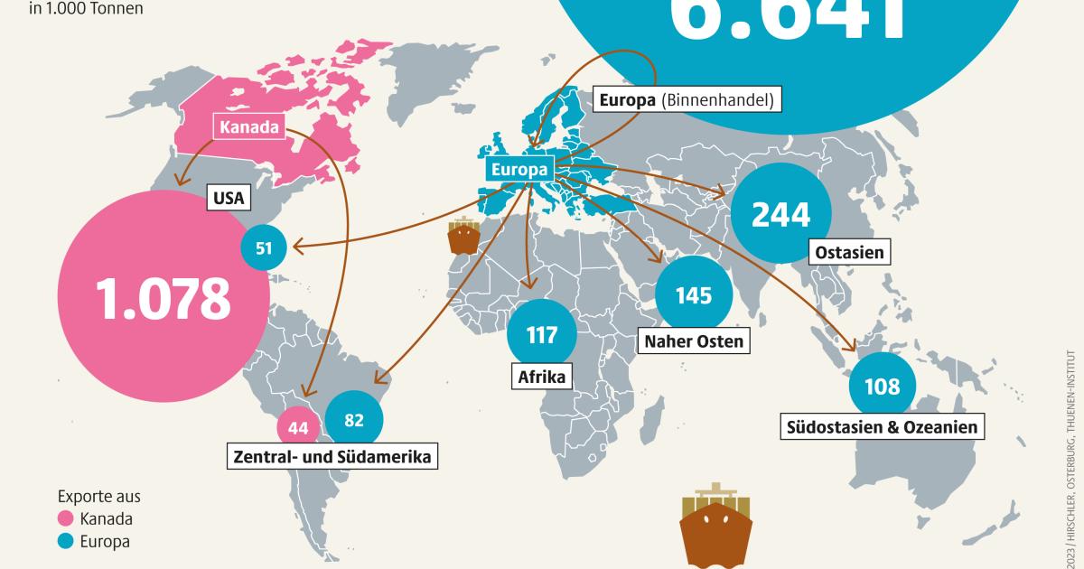 Torfabbau und Klimakrise: Ein fossiler Rohstoff aus dem Moor