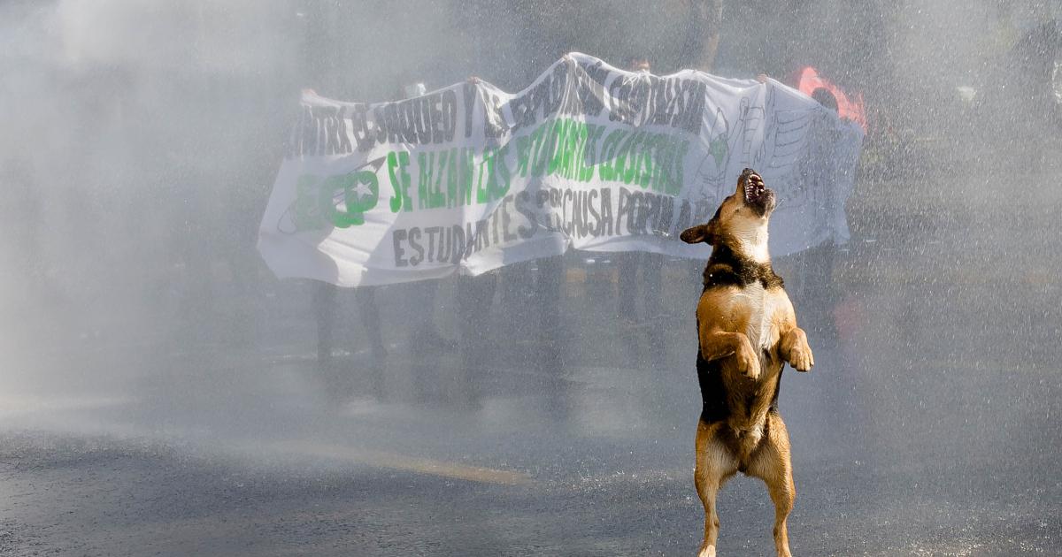 Chile: Young Chileans, between social revolt and fascism | Heinrich ...