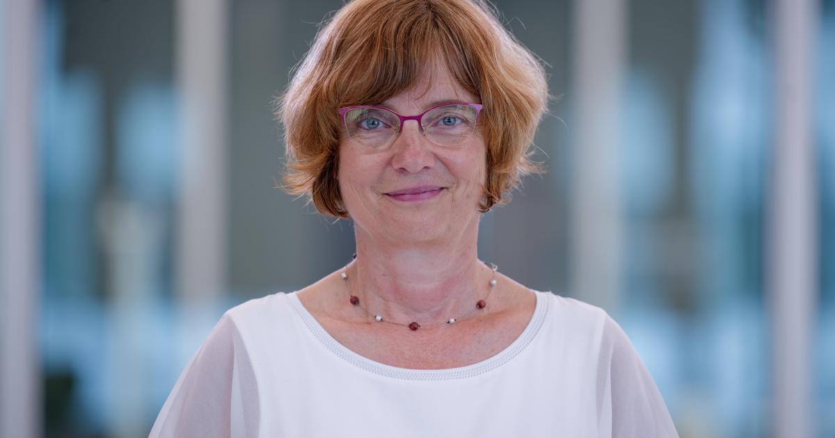 „Die Wärmewende ist ein Gesellschaftsprojekt!“ | Heinrich-Böll-Stiftung