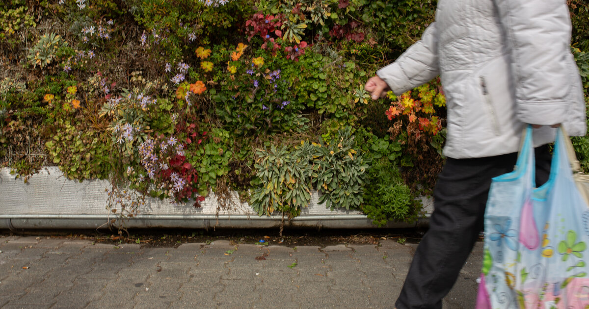 Grüne Vision: Vertikaler Garten am Heizhaus in Magdeburg | Heinrich ...