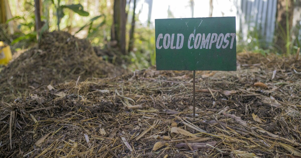 “Green” Fertilizer in Africa Is No Substitute for an Agroecological ...