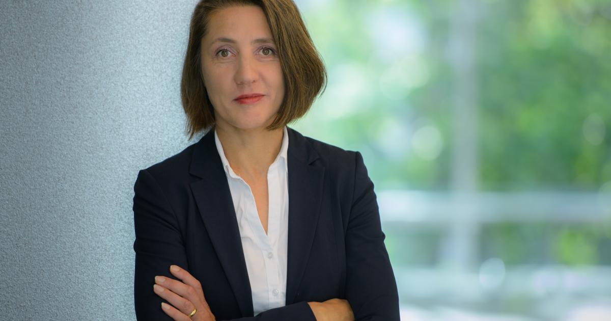 "Stop the war in the South Caucasus" | Heinrich Böll Stiftung