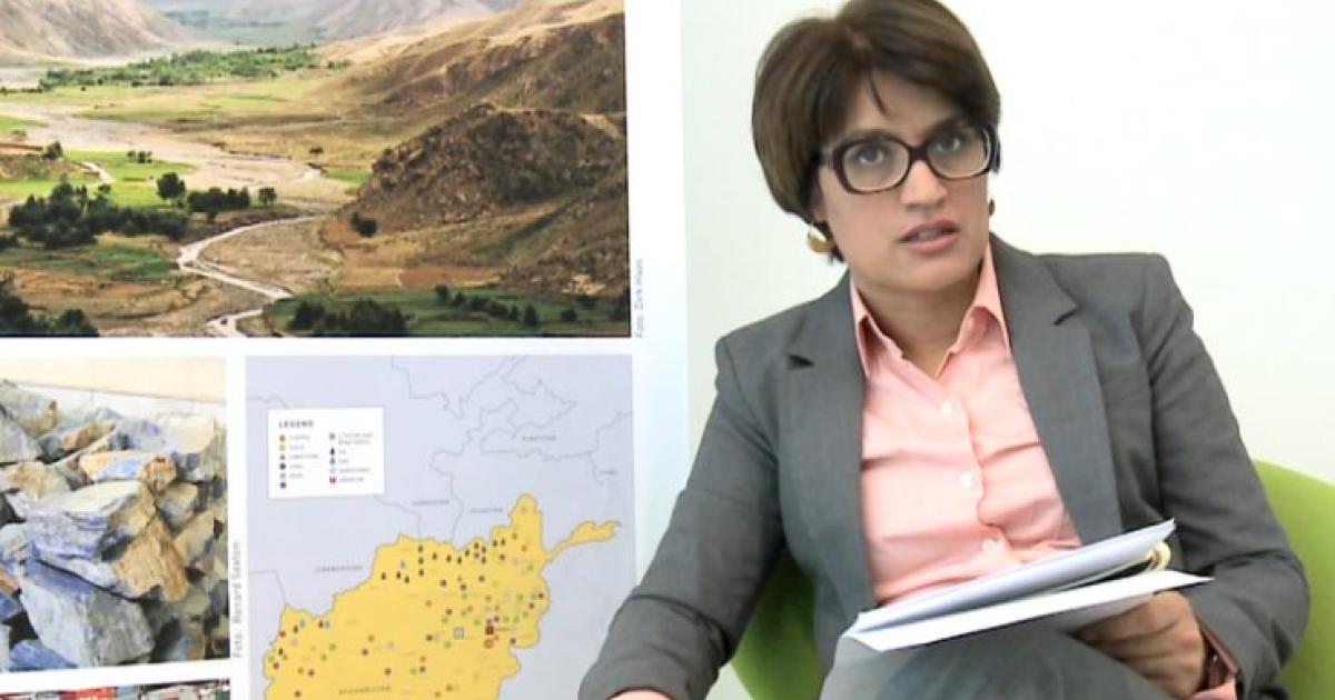 "Civil society could independently provide analysis and information to ...