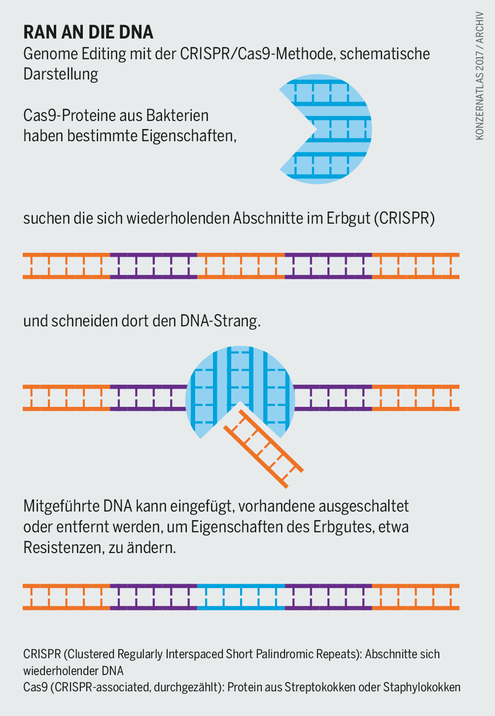 Genome Editing: Gentechnik ohne Kennzeichnungspflicht | Heinrich-Böll ...