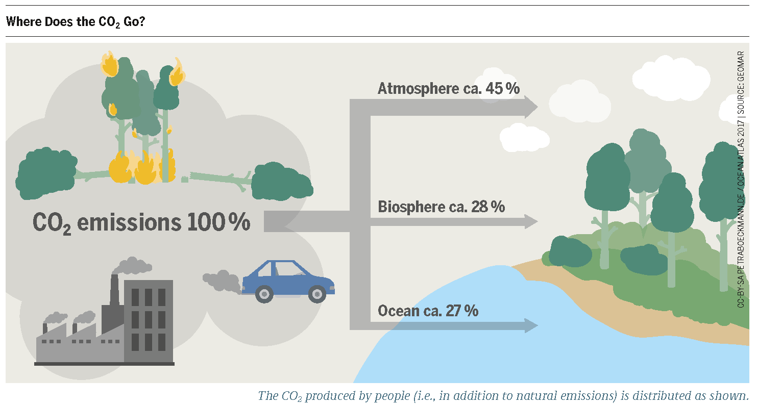 How the Ocean Slows Climate Change | Heinrich Böll Stiftung