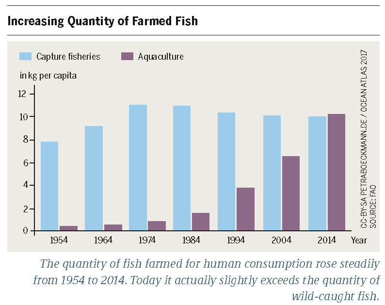 Aquaculture: Are Fish Farms the Future? | Facts, Figures and Graphics