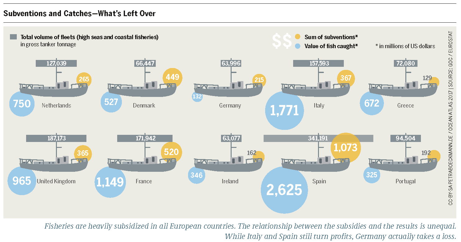 Fish – almost out of stock? | Heinrich Böll Stiftung
