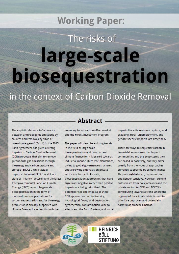 The risks of large-scale biosequestration in the context of Carbon ...